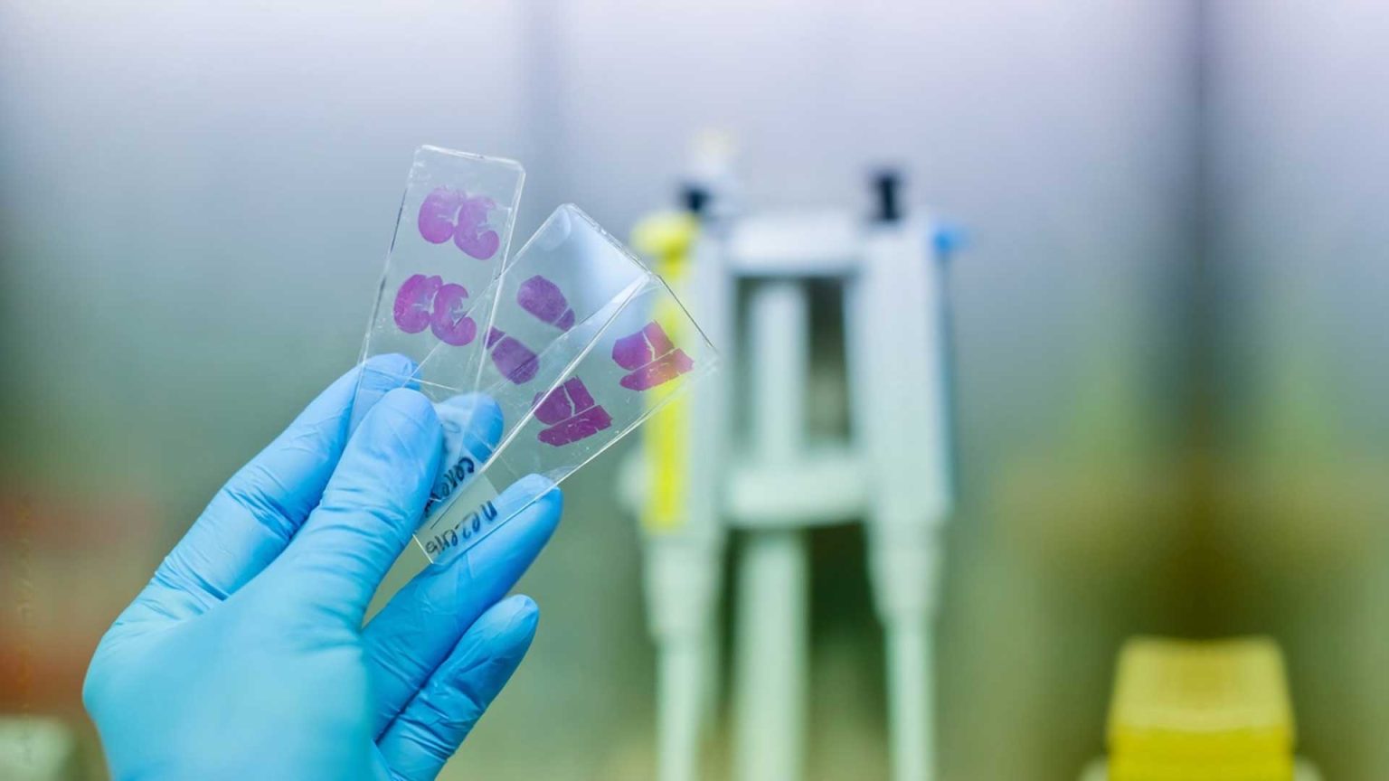 Lahore Medical Lab & Diagnostic Centre